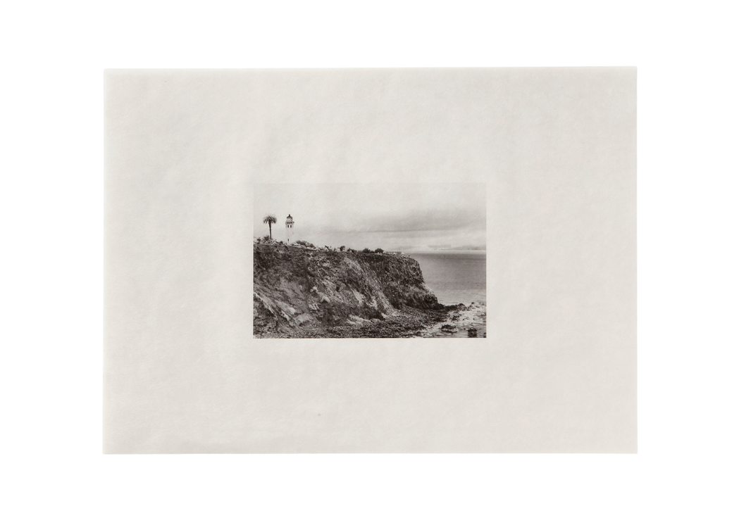 Kate Lester Home x Visual Contrast